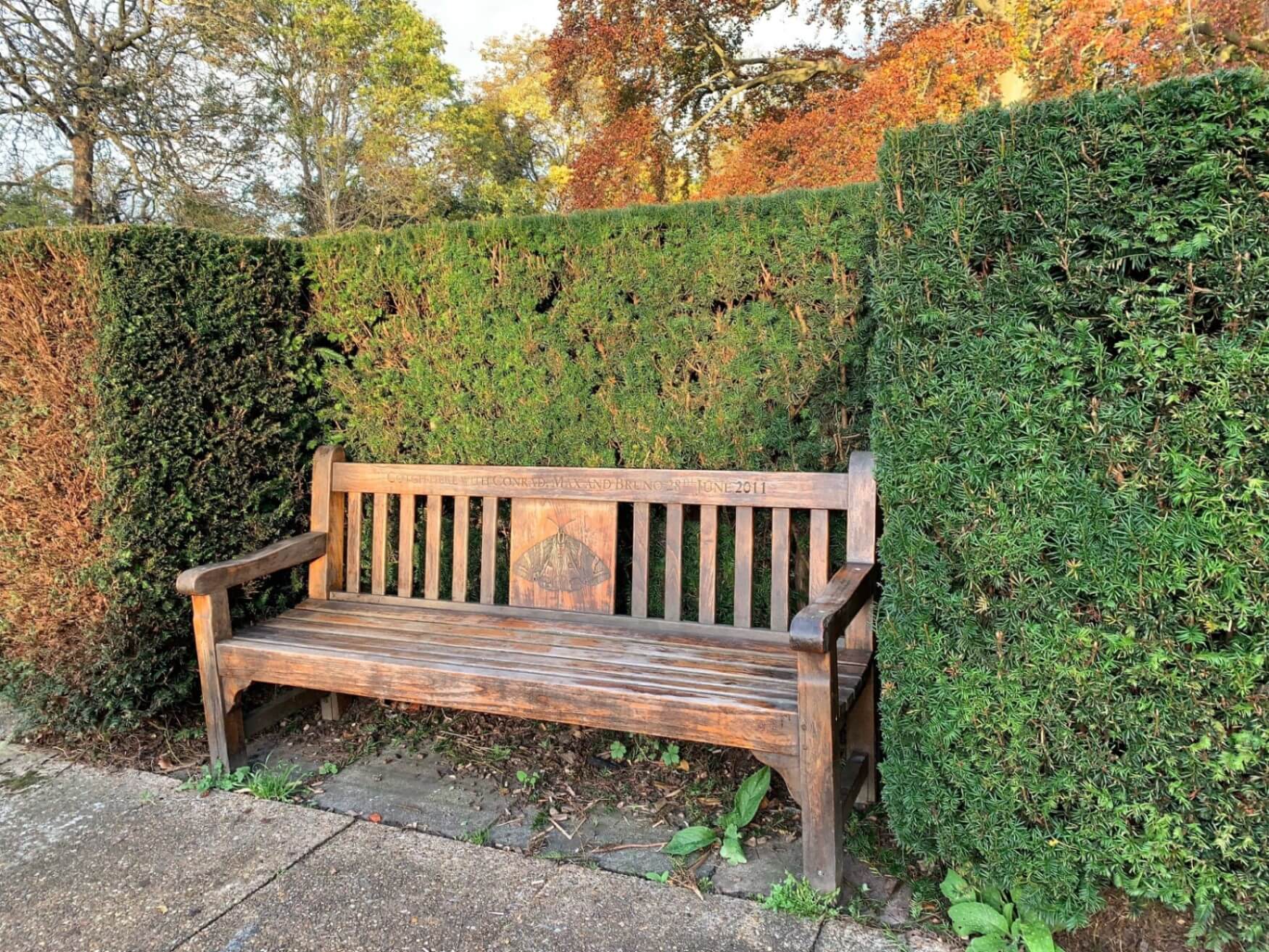 !BLOG wooden memorial bench labyrinth ruskin park NH – The Historic ...